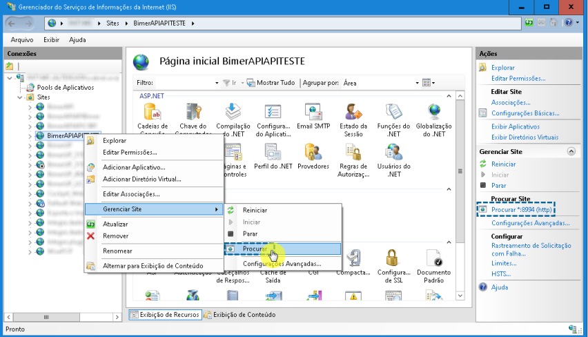 Como Verificar o Status da sua BimerAPI (Via IIS) - Bimer - Base de ...
